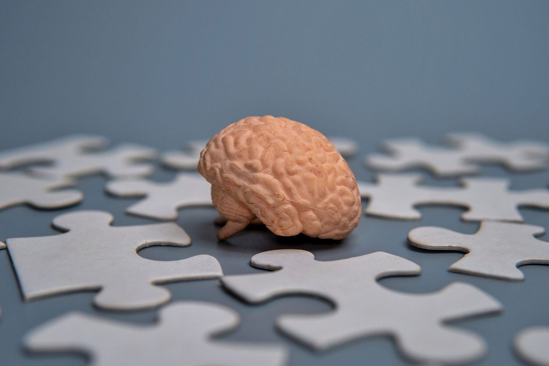 Services – Centre for Trauma and Stress